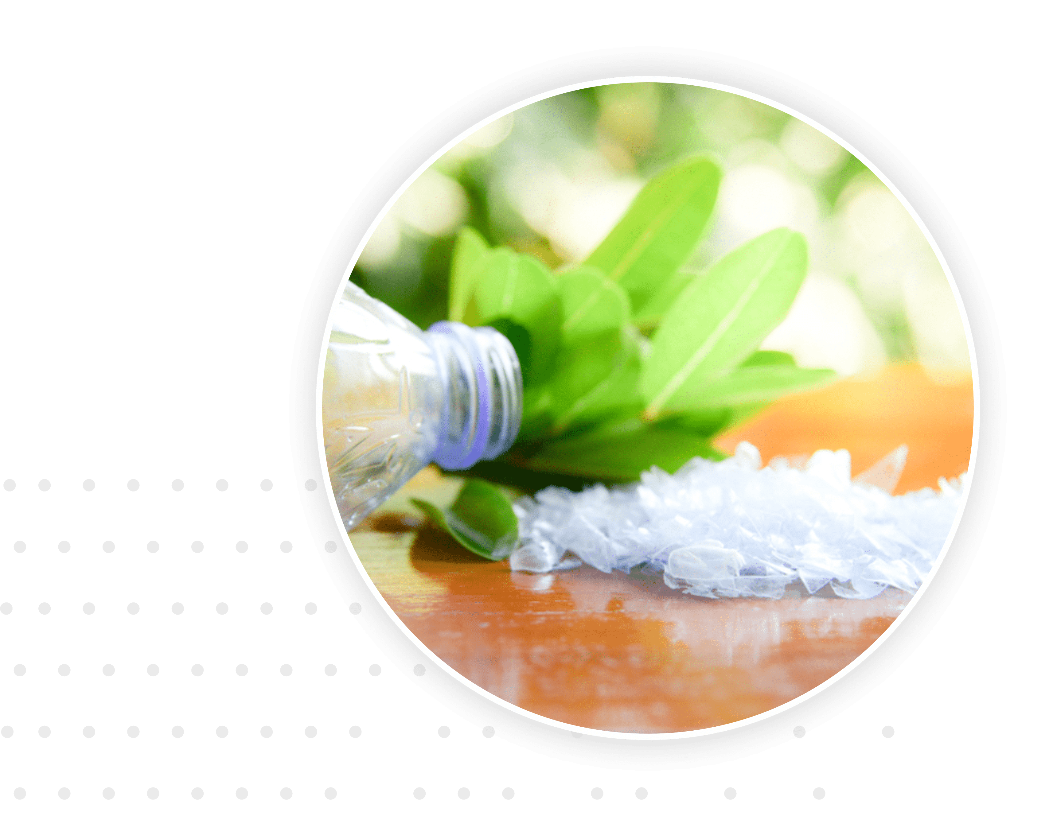 Best Products of - Sandberry